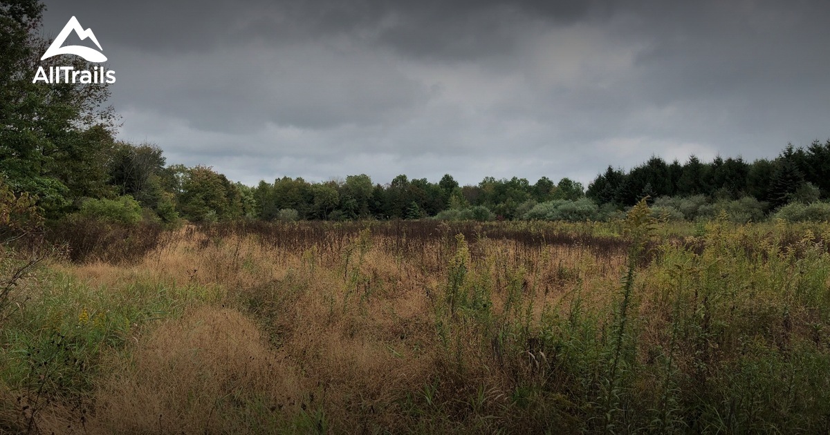 LEGO | List | AllTrails