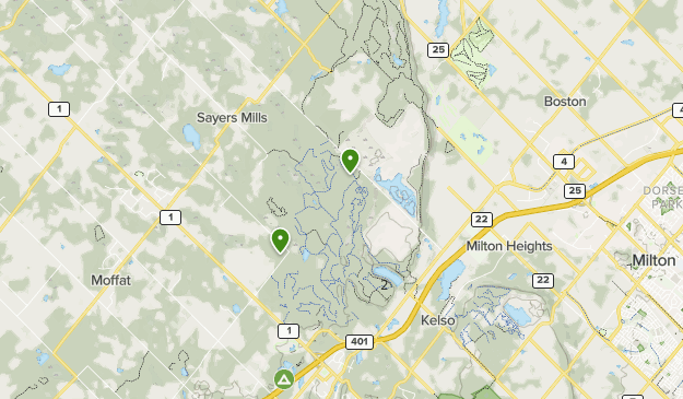 Hilton Falls Conservation area | List | AllTrails