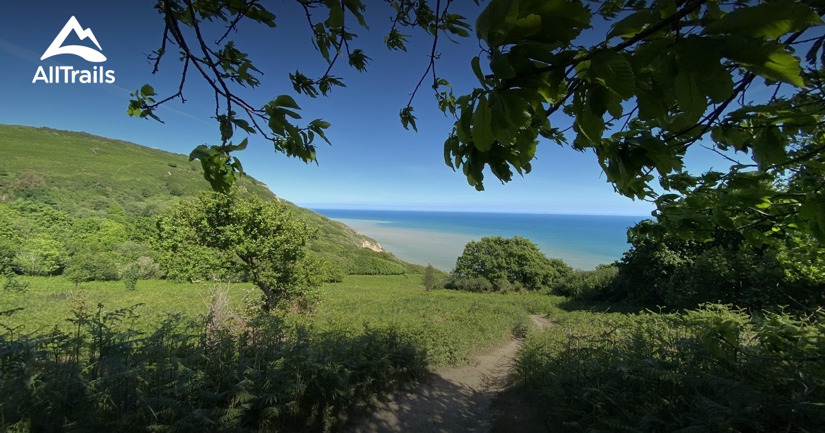 Saxon shore | List | AllTrails