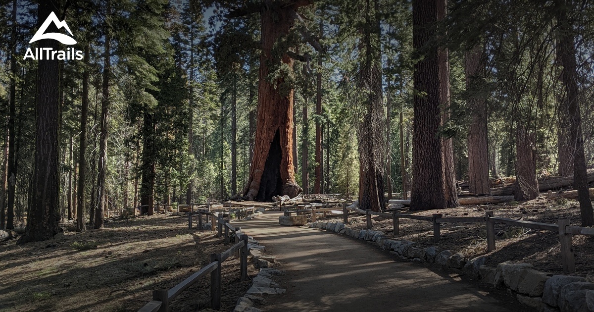 Yose | List | AllTrails