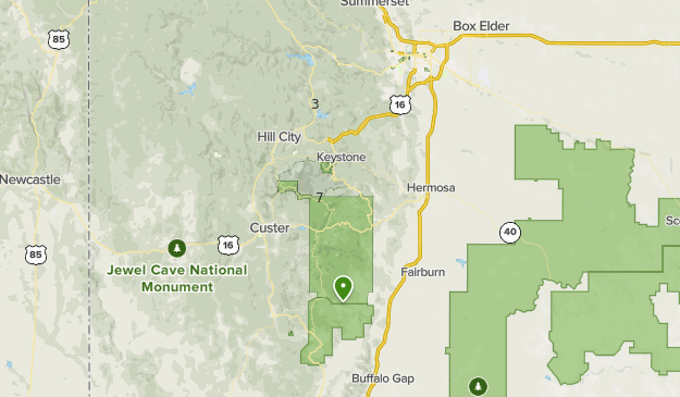 Road trip 2020: Custer State Park/Black Hills National Forest | List ...