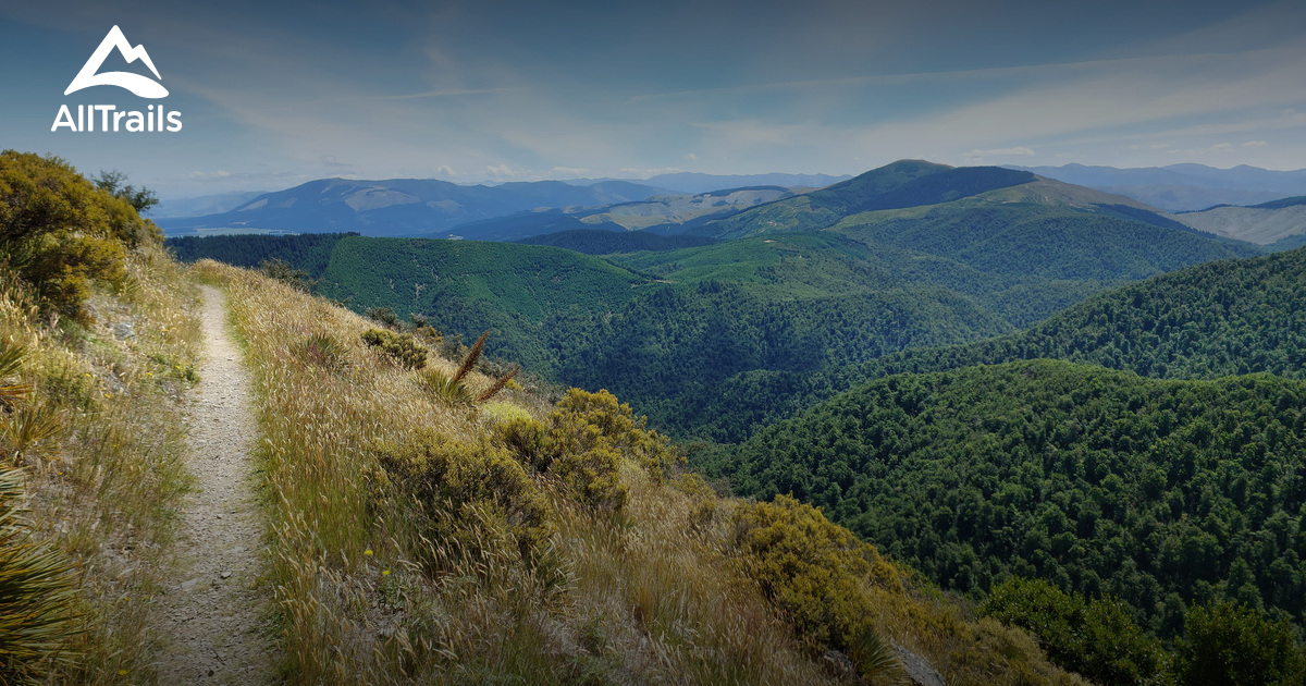 Greta Valley life | List | AllTrails