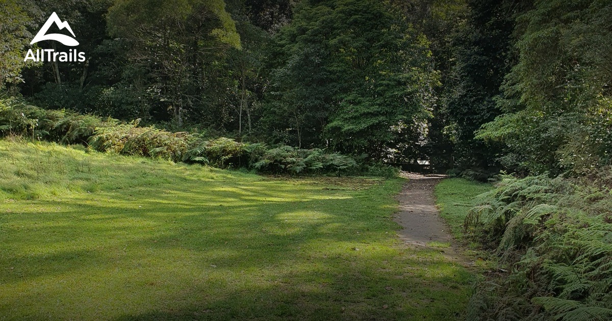 Cascade rainforest walk | List | AllTrails