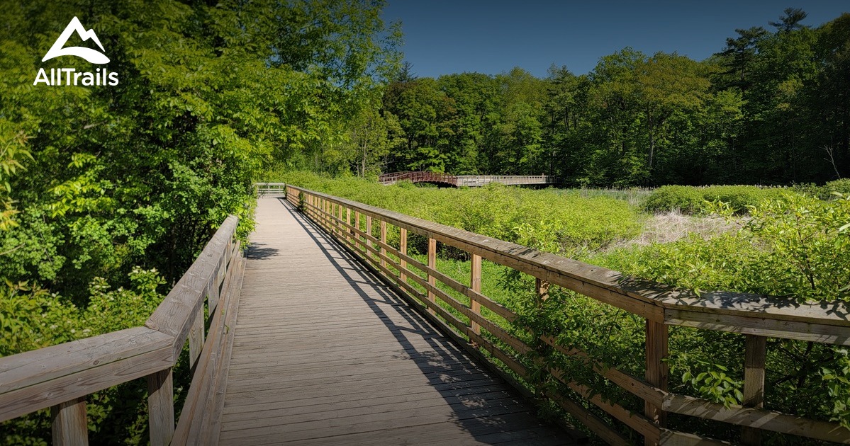 Burlington and Hamilton | List | AllTrails