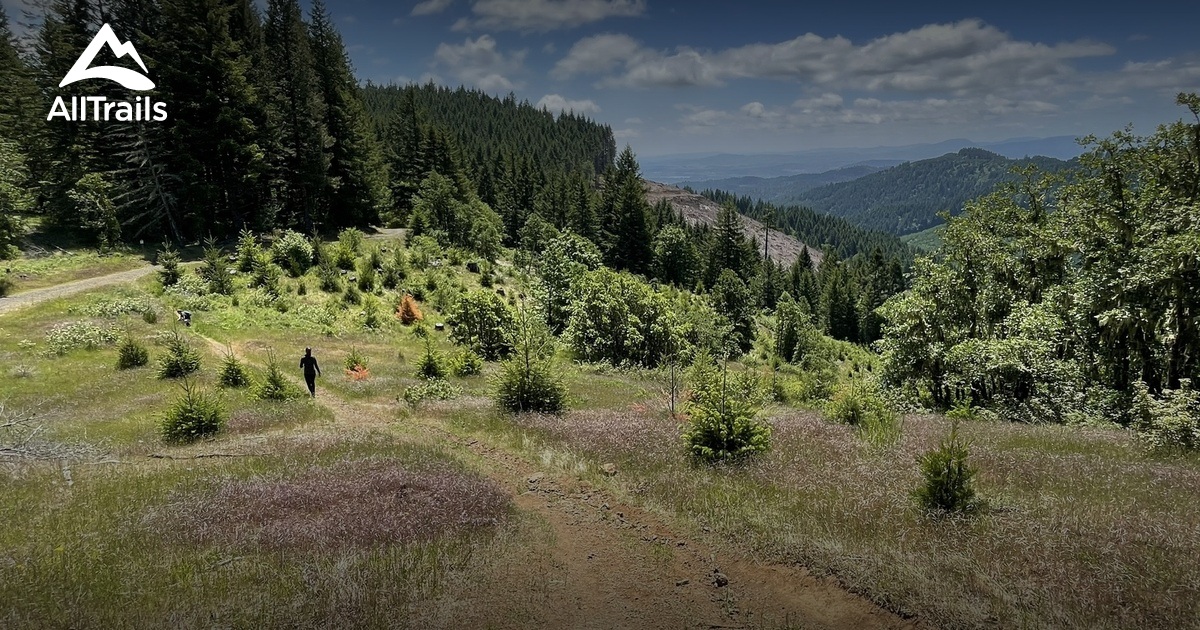 McDonald-Dunn Forest | List | AllTrails