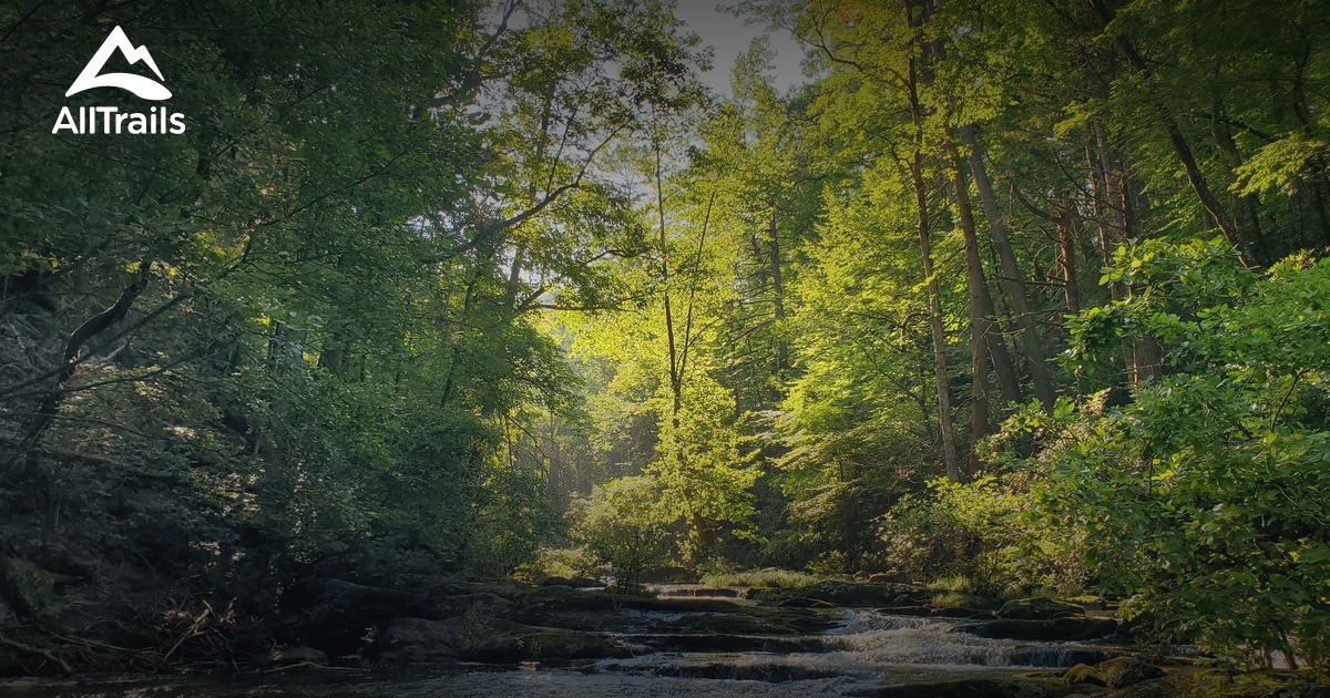 Tennessee: Cherokee National Forest | List | AllTrails