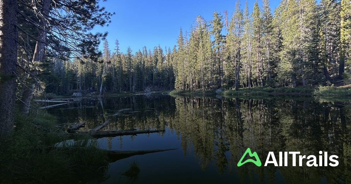 Donner Memorial | List | AllTrails