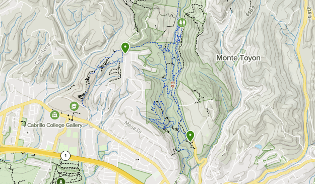 Nisene Marks: Santa Cruz | List | AllTrails