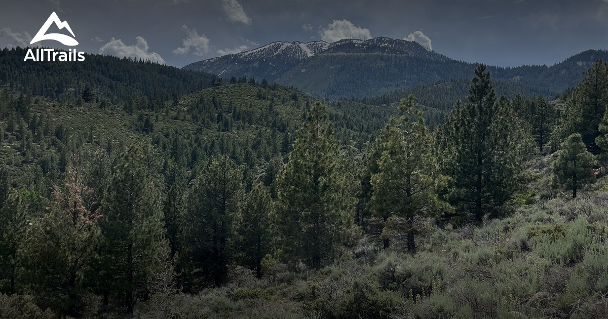 Reno Area Hikes to Try | List | AllTrails
