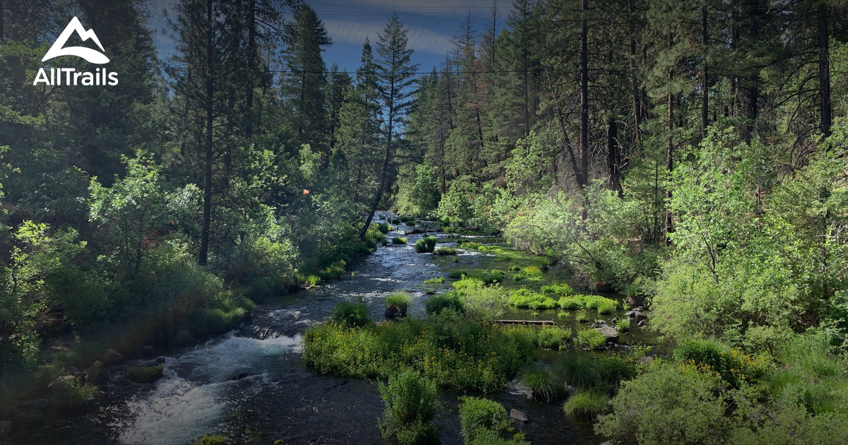 Shasta Waterfall Loop | List | AllTrails