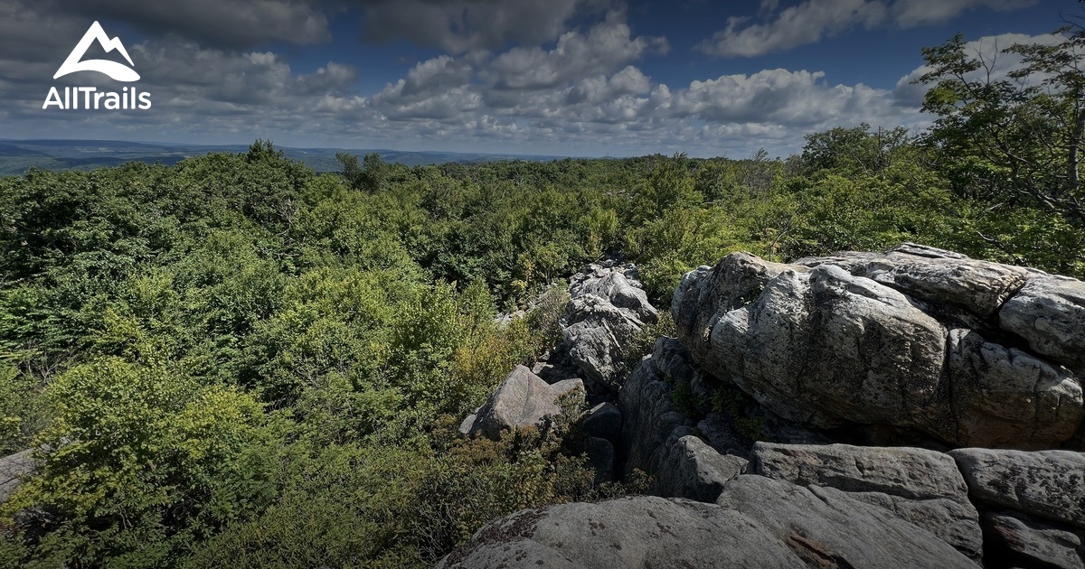 Savage Forest | List | AllTrails