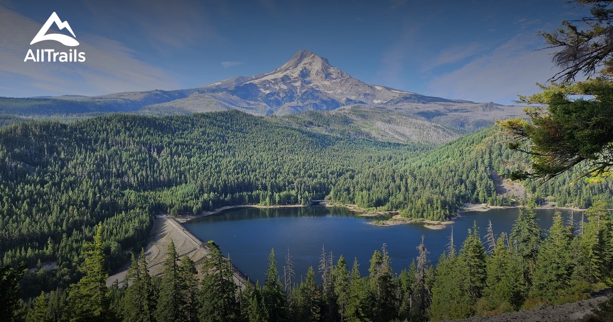 Mt Hood Forest & Colum.Rivr | List | AllTrails