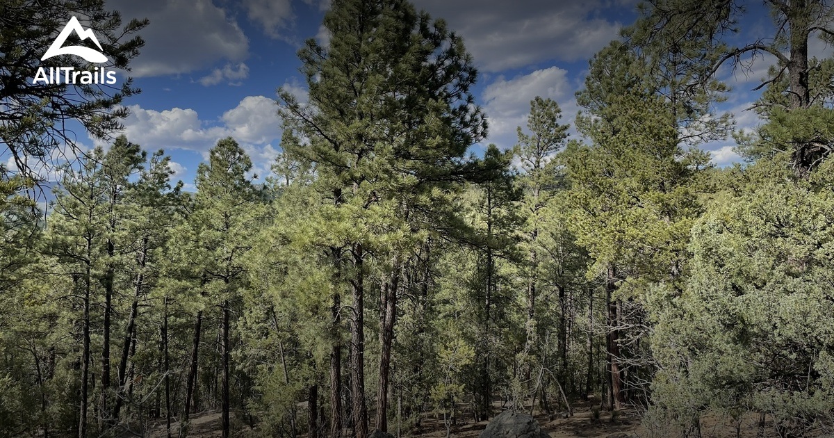 Pecos National Historic Park | List | AllTrails
