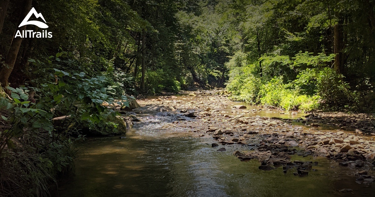 Lake Lure area hikes | List | AllTrails