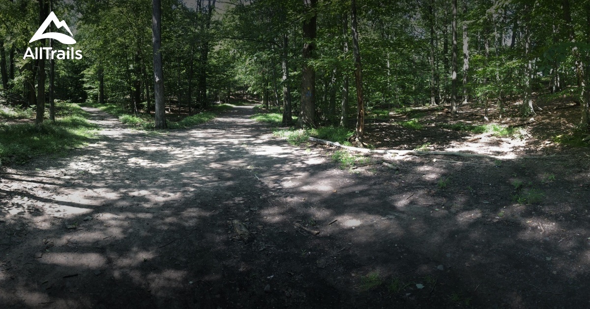 Sunday with the kids | List | AllTrails