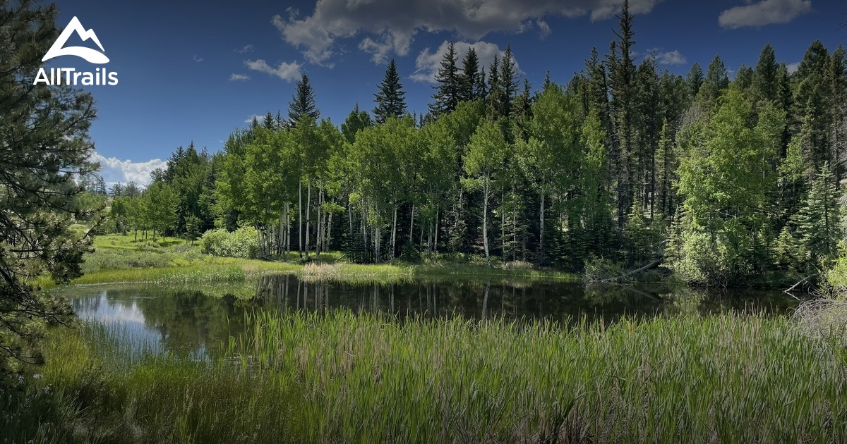 Round Mountain Campground | List | AllTrails