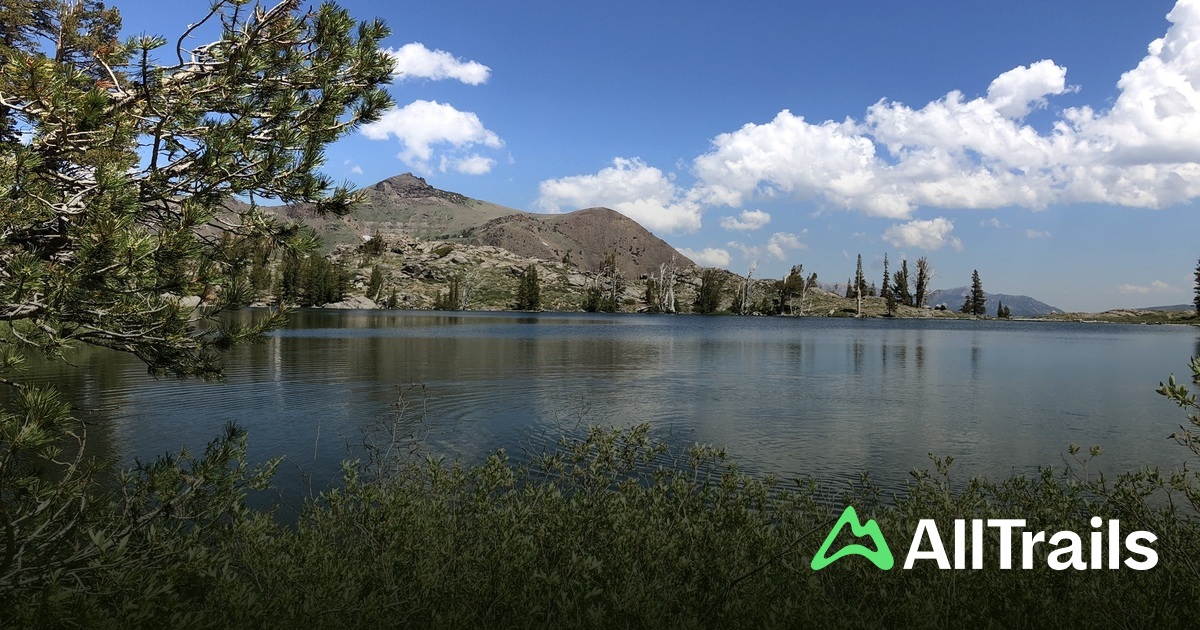 Tahoe Carson Pass | List | AllTrails