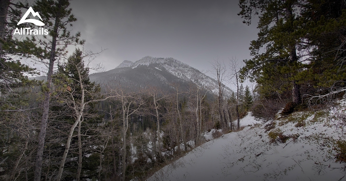 Chateau MT | List | AllTrails