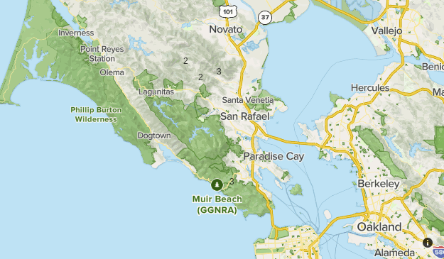 Marin county trail runs | List | AllTrails