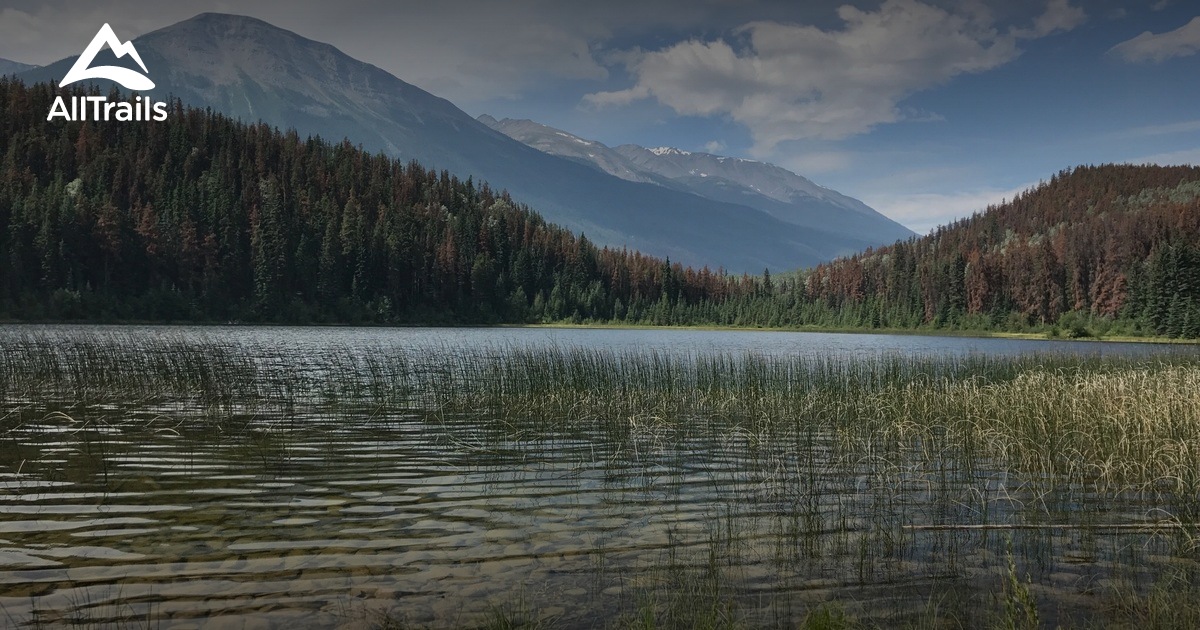Jasper/mt robson | List | AllTrails