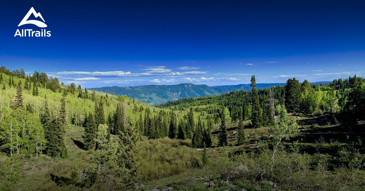 Dusty's trails | List | AllTrails