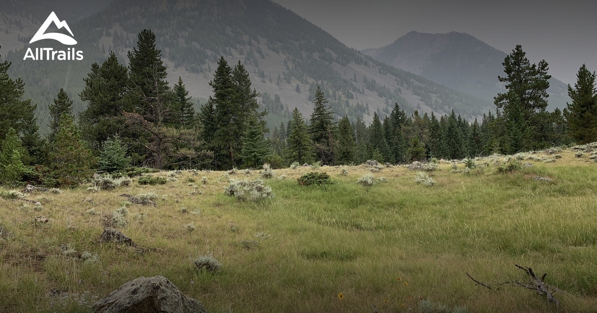 Beartooth Pass Hikes | List | AllTrails