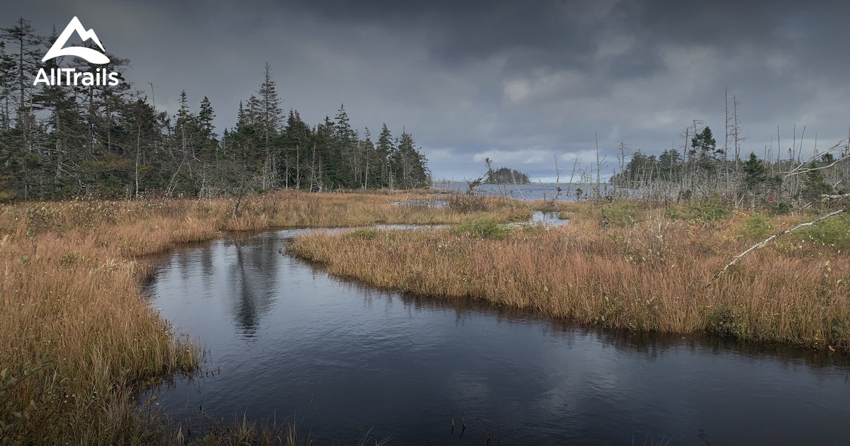 Land For Sale On The Mira River Cape Breton at Aiden Darcy blog