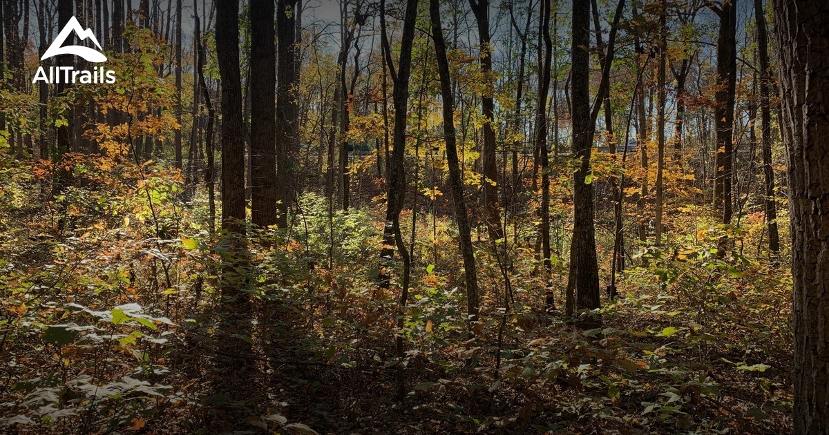 Charlottesville Running Trails | List | AllTrails