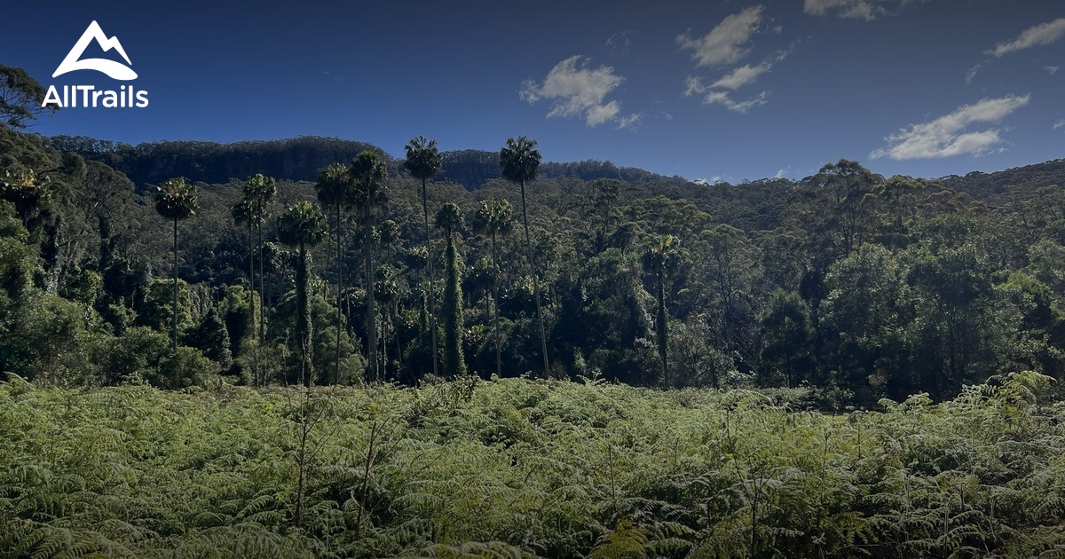 Clover Hill trail | List | AllTrails