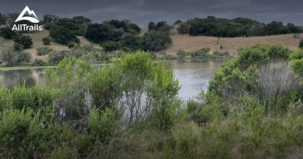 Fort ord hikes | List | AllTrails