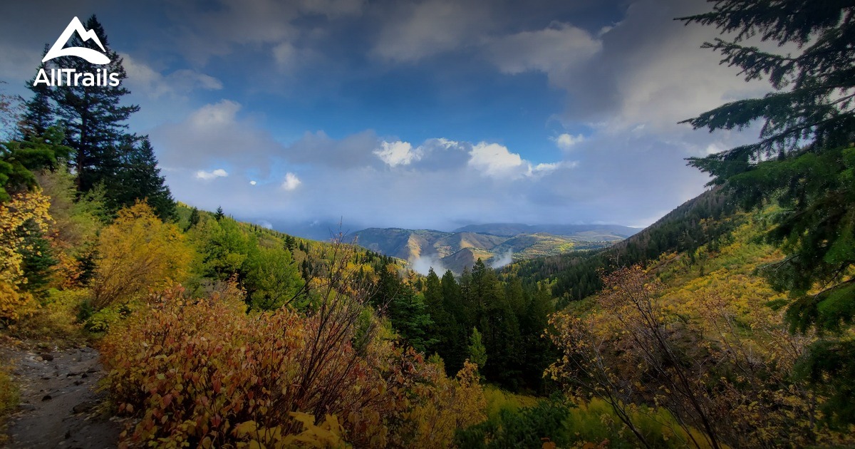 Timp maps | List | AllTrails