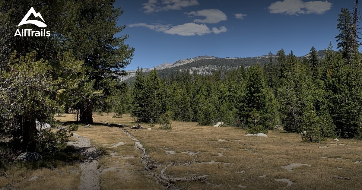 Courtright Reservoir | List | AllTrails