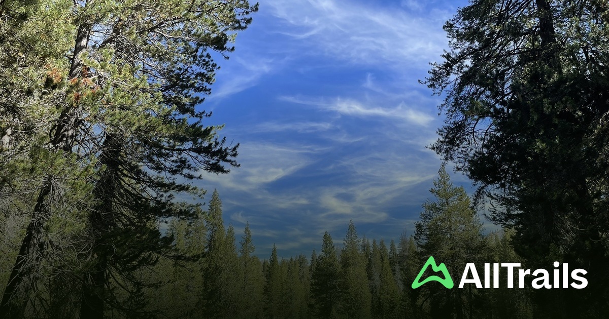 Courtright Reservoir | List | AllTrails