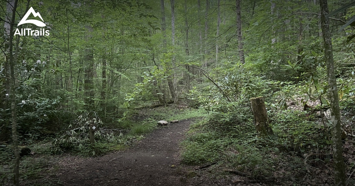 elkmont campground trails | List | AllTrails