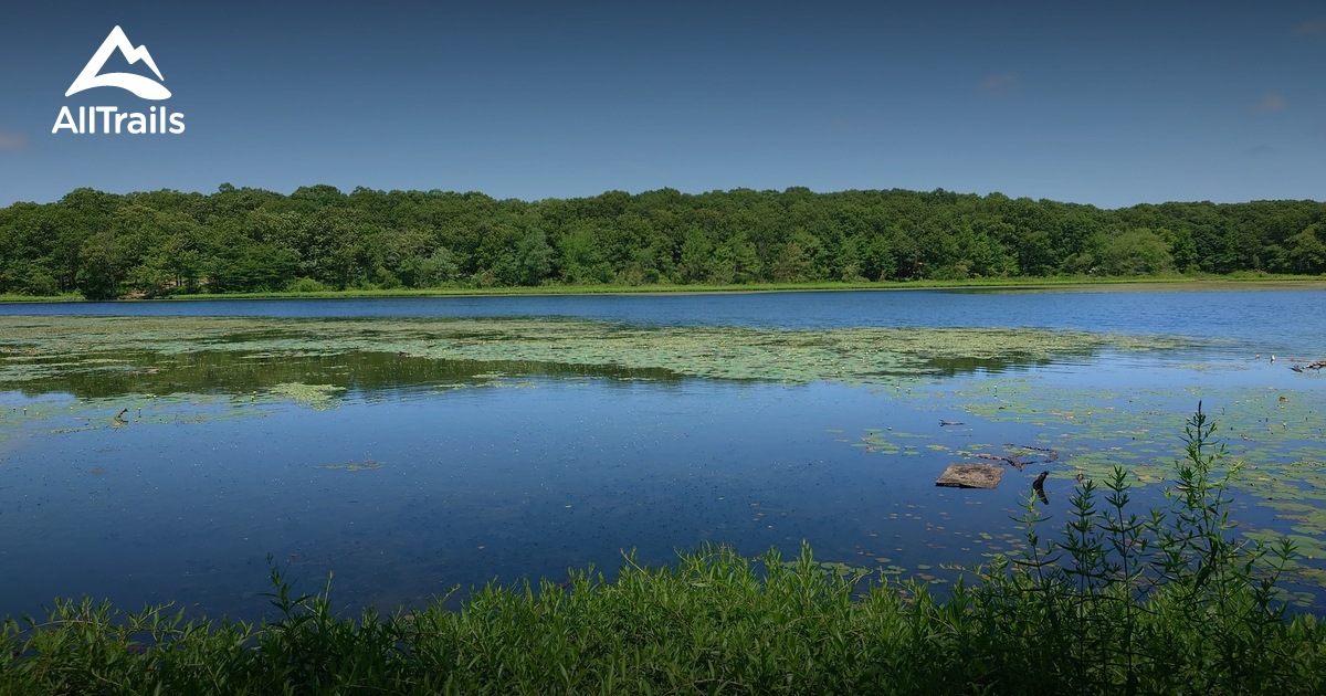 RI dog | List | AllTrails