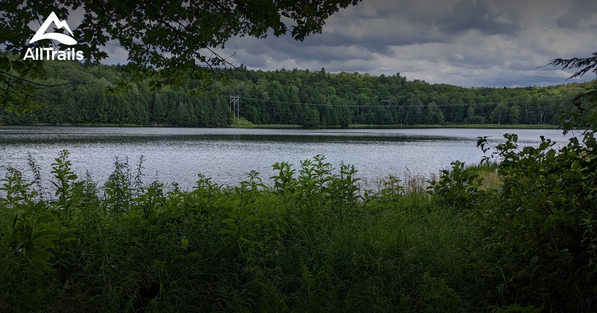 Milton Bike Trails | List | AllTrails