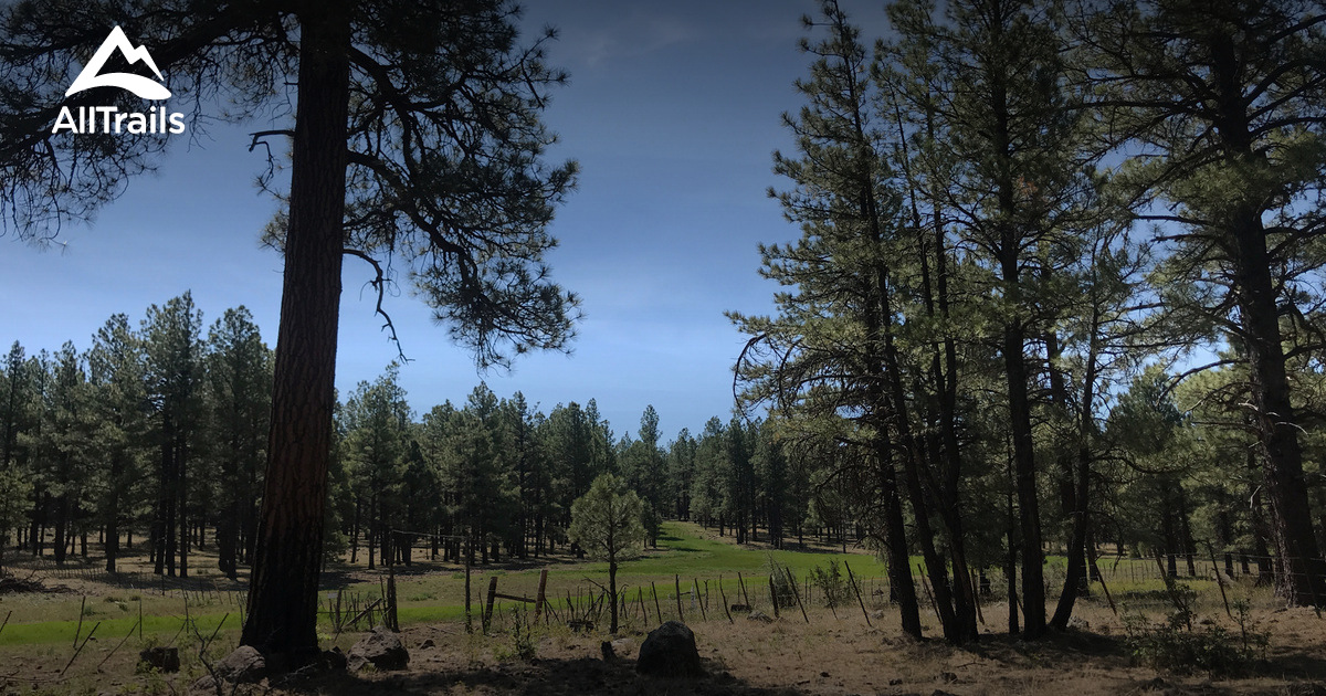 Pinetop-Lakeside | List | AllTrails