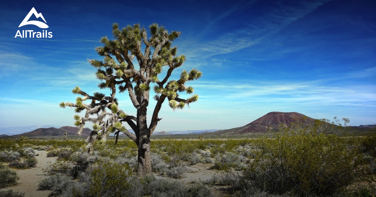 Mojave Ntnl Preserve | List | AllTrails