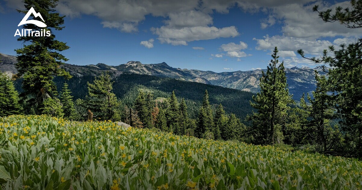 Easy, less than 500' elevation gain | List | AllTrails