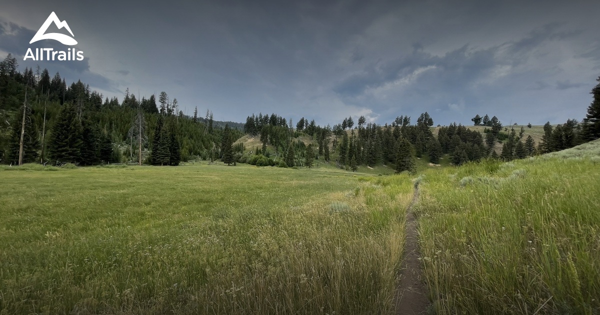 Yellowstone Tower Junction | List | AllTrails