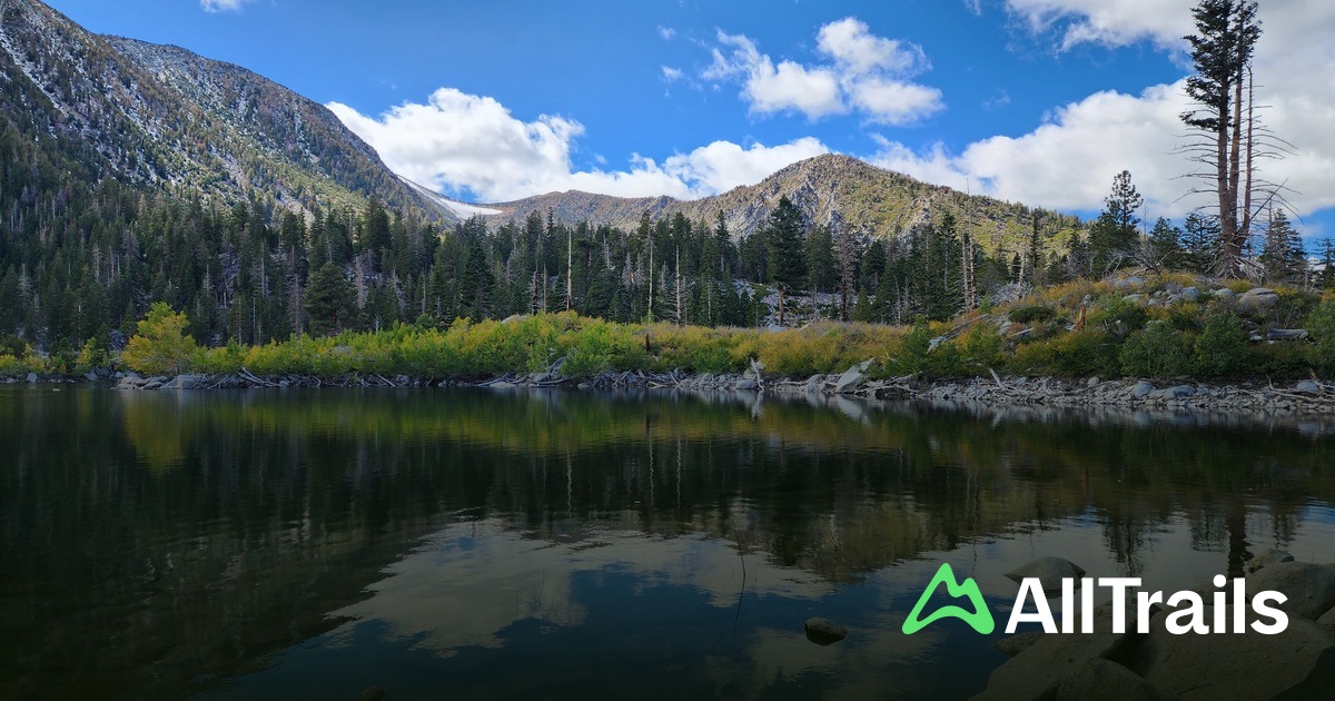 Mammoth Fishing | List | AllTrails