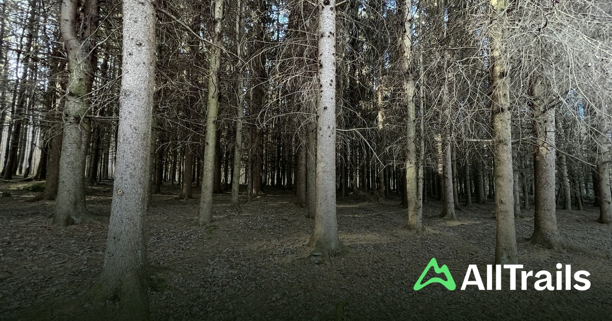 Lake Henry Hikes | List | AllTrails