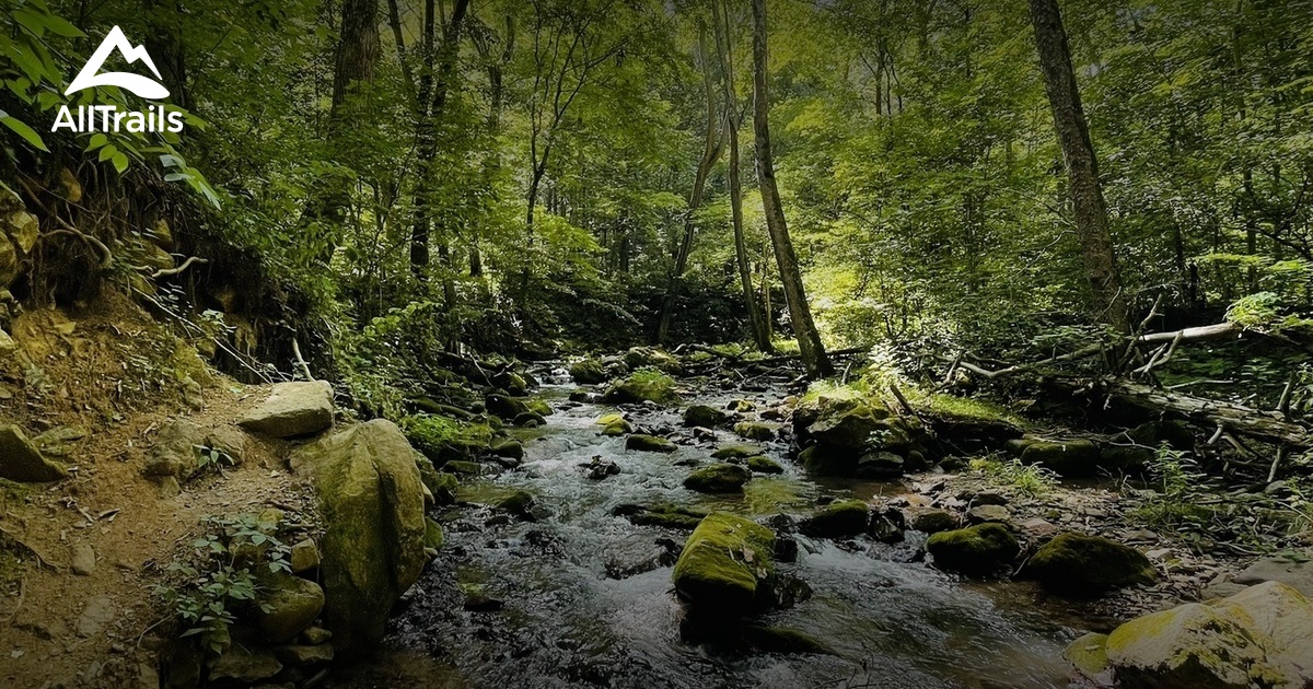 GWNF-Glenwood-Pedlar District | List | AllTrails