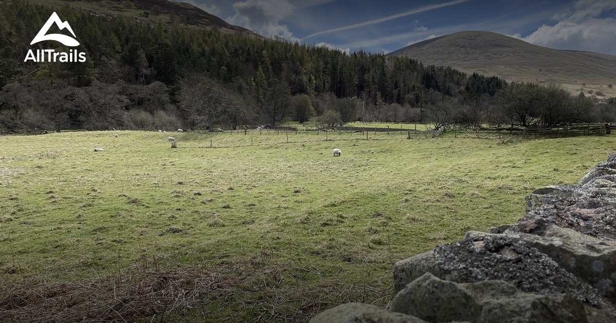 Cheviot Options | List | AllTrails