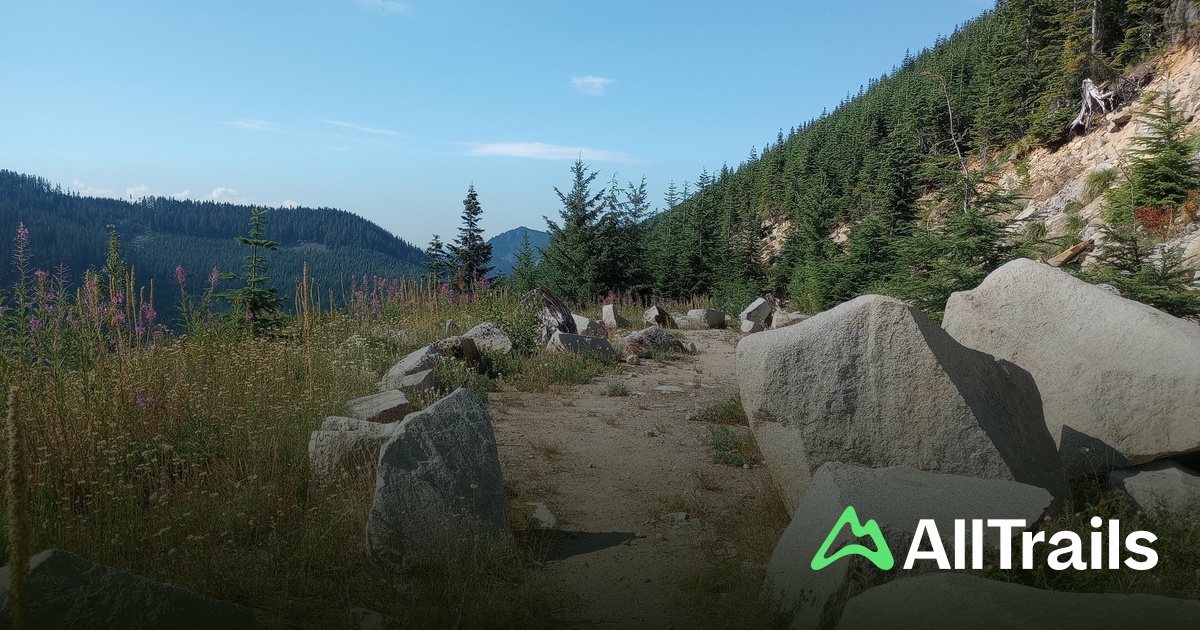 Potential Seattle Hikes | List | AllTrails