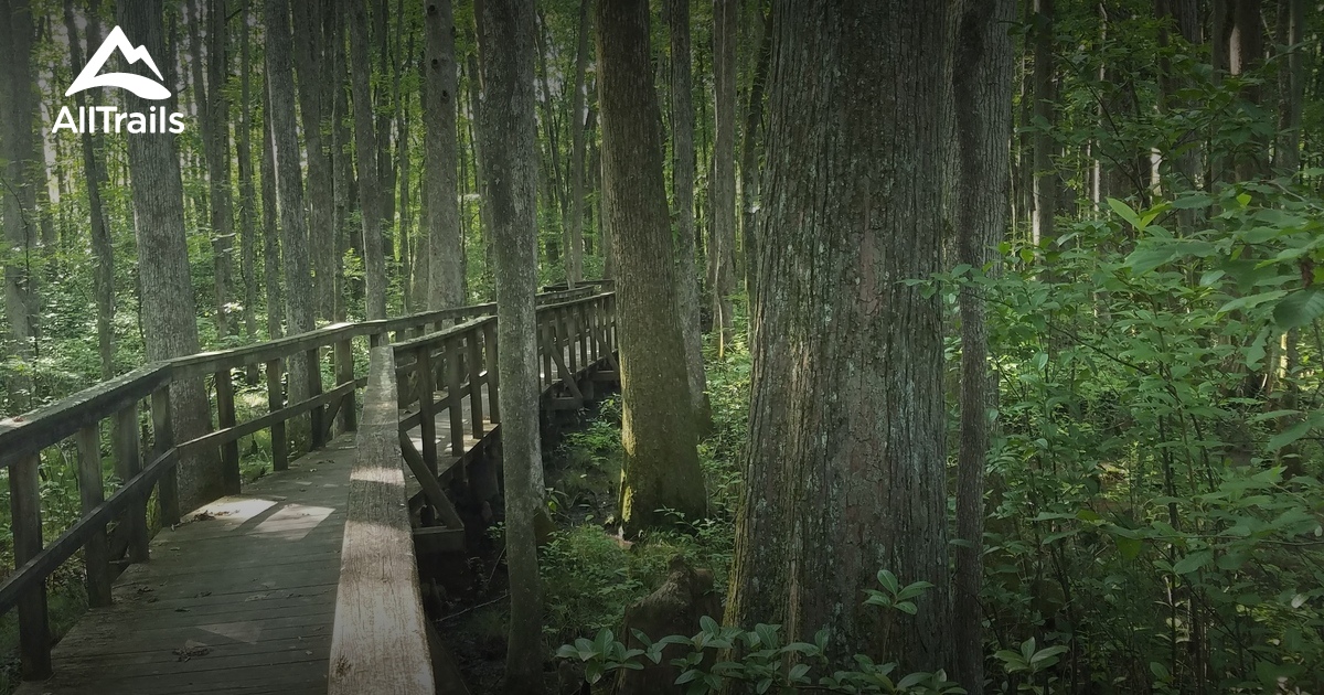 Hiking North Mississippi | List | AllTrails