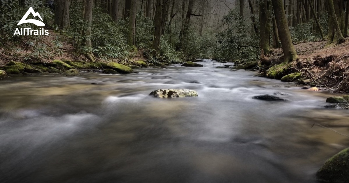 Three Forks Camping | List | AllTrails