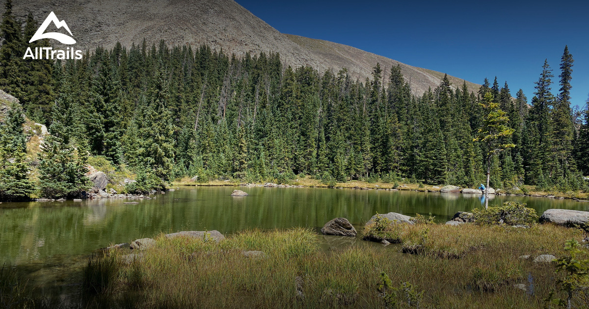 Tayler park | List | AllTrails