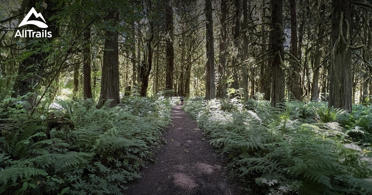 Carrie visit | List | AllTrails