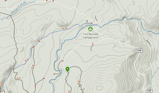 angie camp | List | AllTrails